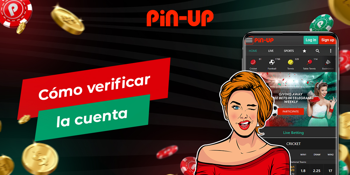 Proceso de registro Pin-Up México 2023